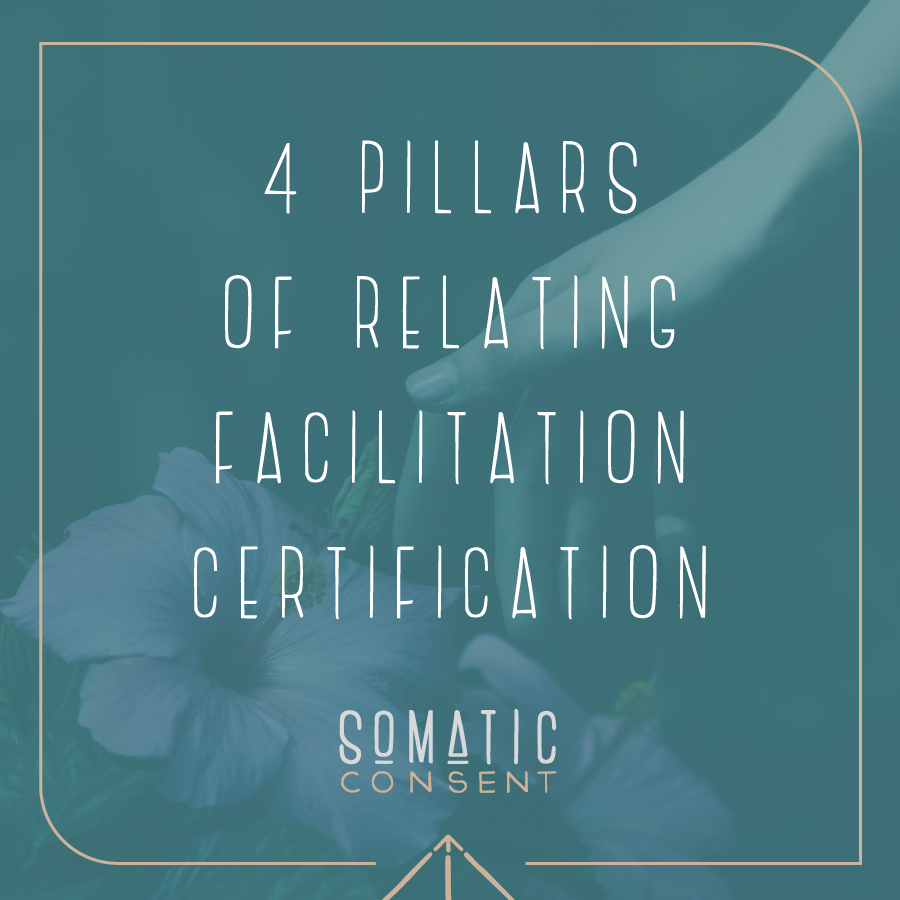 Year Training – Somatic Consent