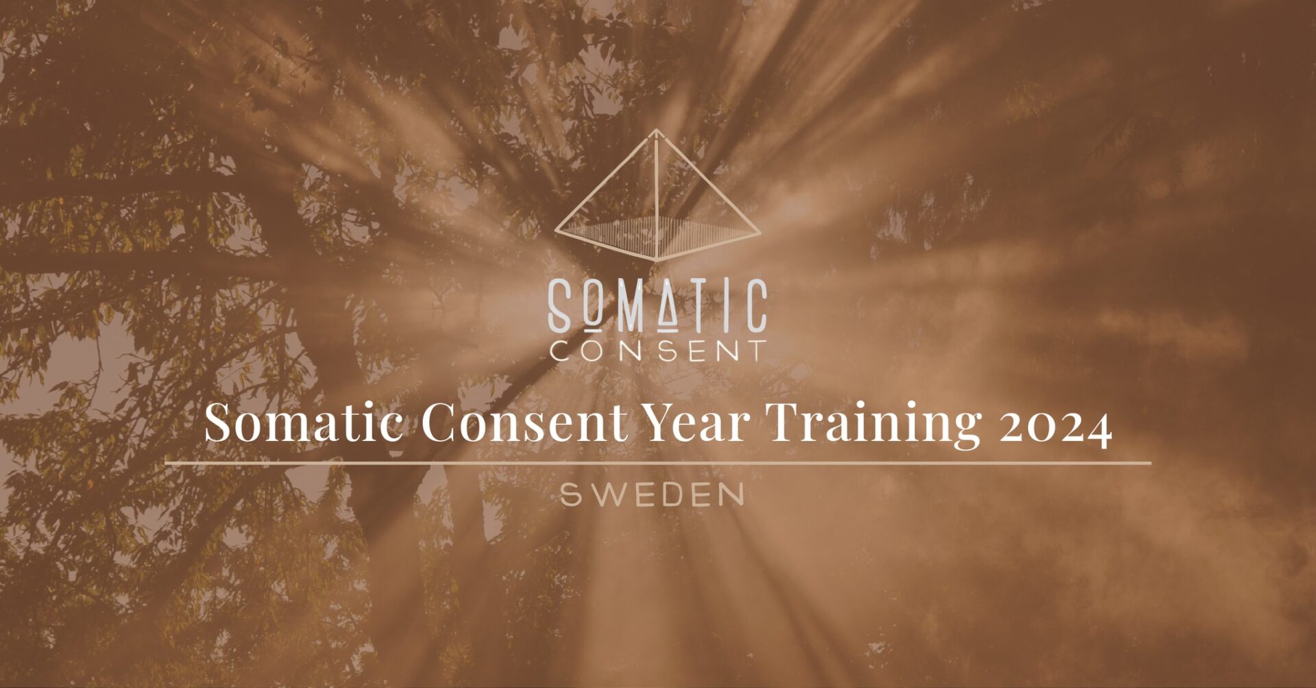 Somatic Consent Year Training: Transformative Journey of Personal and Professional Empowerment ...